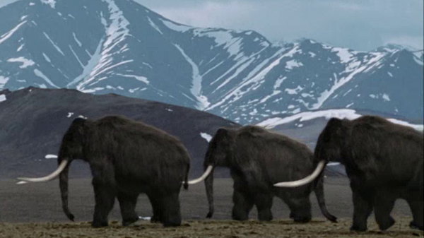 Wild New World Season 1 Episode 1