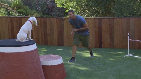 Lucky Dog Season 1 Episode 1