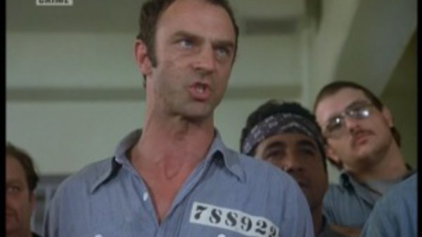 Quincy, M.E. Season 5 Episode 14 Quincy, M.E. Season 5 Episode 14