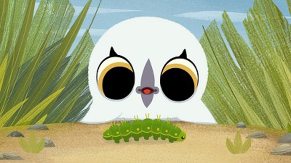 Puffin Rock Season 1 Episode 29