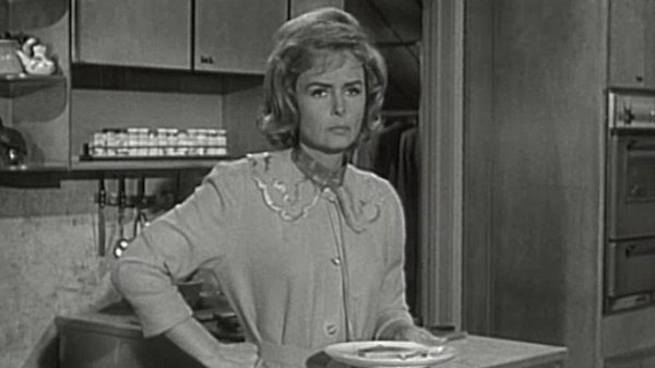 The Donna Reed Show Season 5 Episode 23