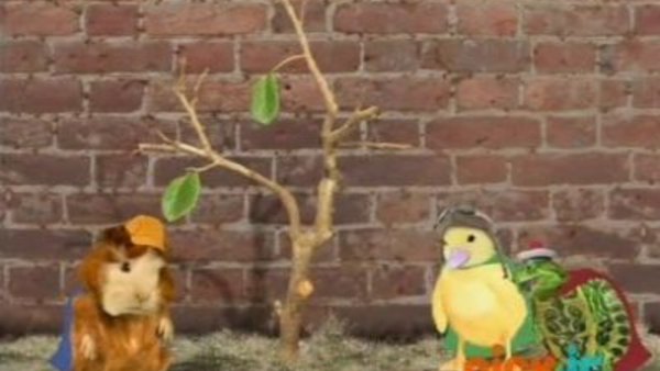 The Wonder Pets! Season 1 Episode 17