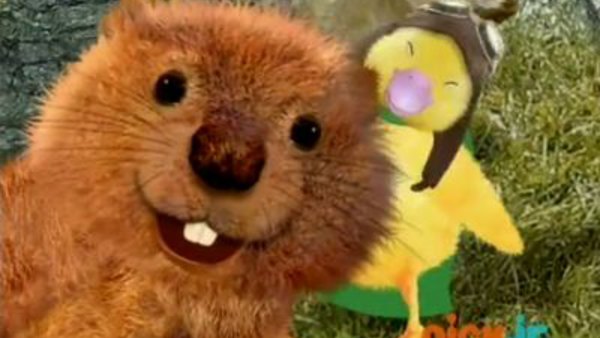 The Wonder Pets! Season 2 Episode 10