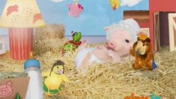 The Wonder Pets! Season 2 Episode 20