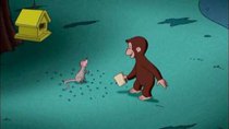 Curious George episodes