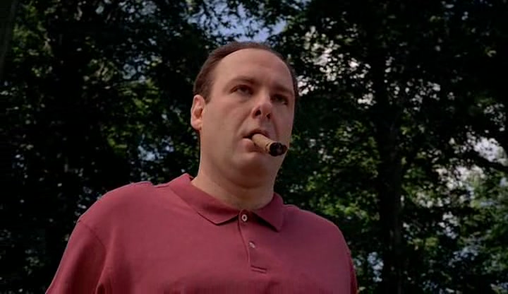 Screencaps of The Sopranos Season 1 Episode 1