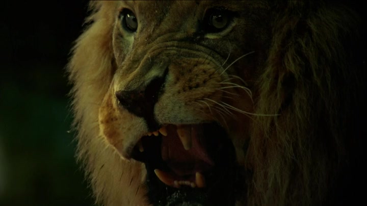 Screencaps of Zoo Season 1 Episode 1