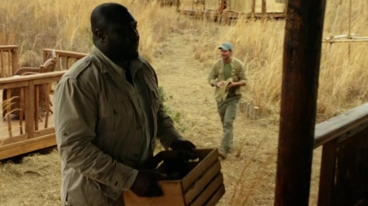 Screencaps of Zoo Season 1 Episode 1