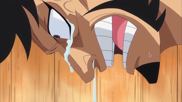 One Piece Episode 629 - Watch One Piece E629 Online