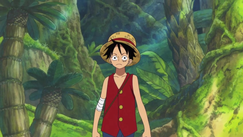 Screenshots of One Piece Episode 516