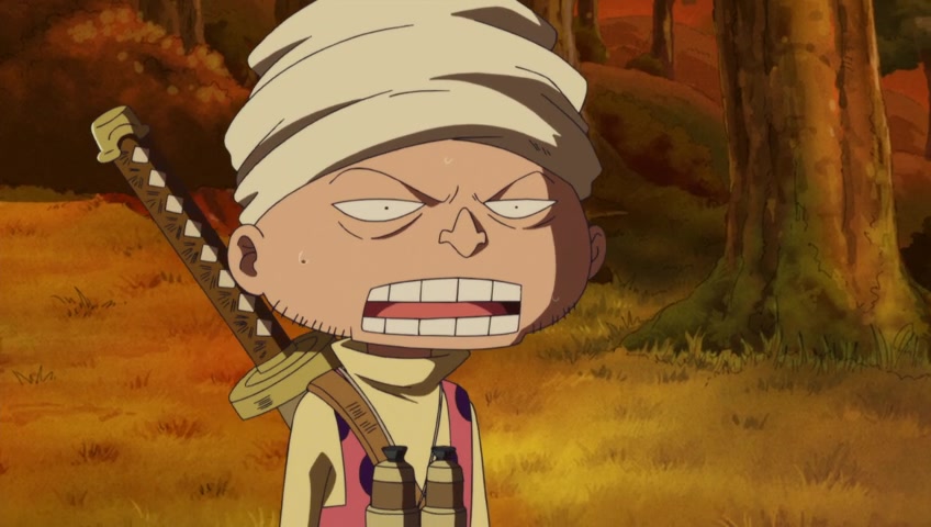 Screenshots of One Piece Episode 503