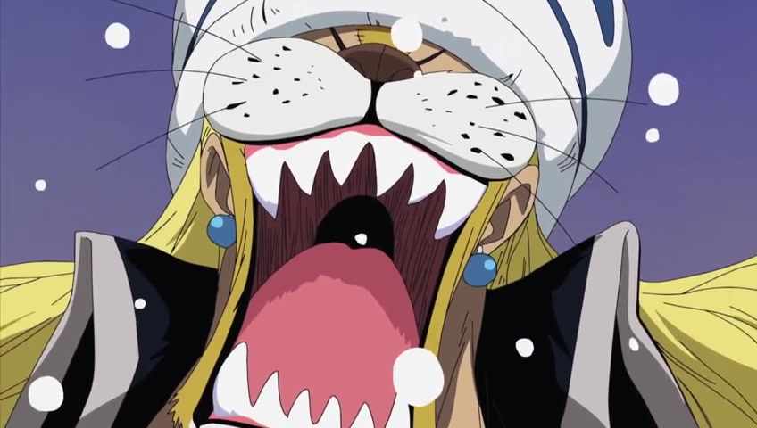 Screenshots of One Piece Episode 357