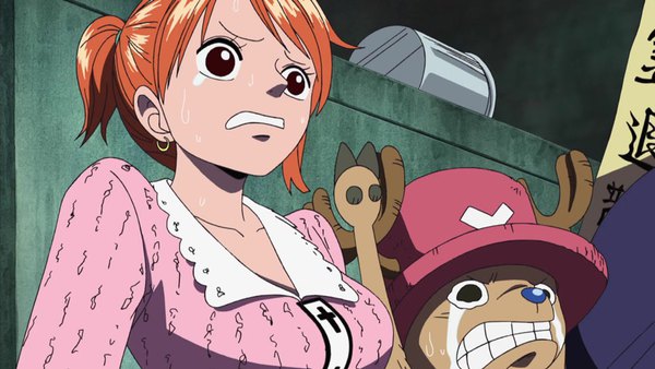 One Piece Episode 343 - Watch One Piece E343 Online