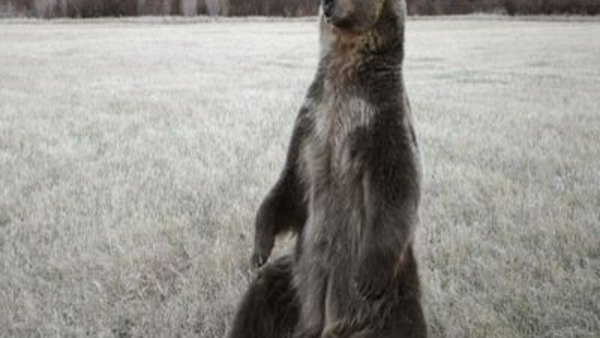 Prehistoric Predators Season 1 Episode 1