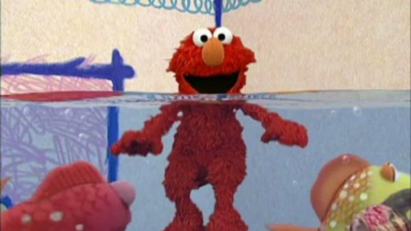 Elmo's World Season 33 Episode 3981