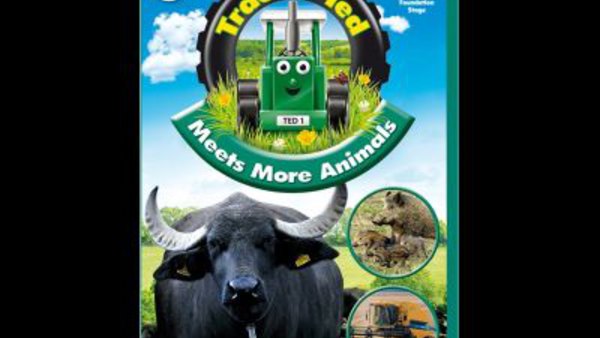 Tractor Ted Season 1 Episode 16