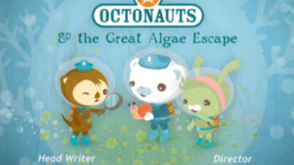 Octonauts Season 1 Episode 8