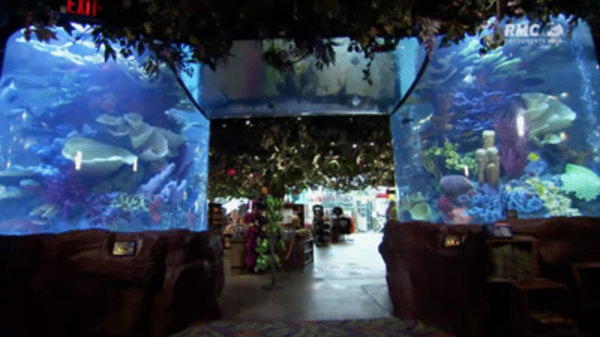 Fish Tank Kings Season 1 Episode 1