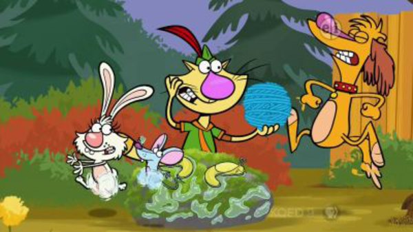 Nature Cat Season 1 Episode 41