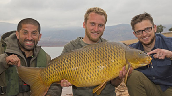 Monster Carp Season 2 Episode 3