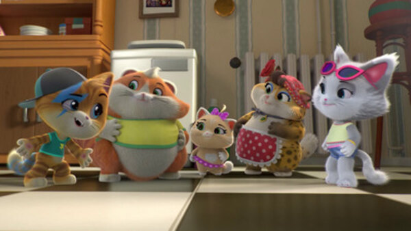 44 Cats Season 1 Episode 18