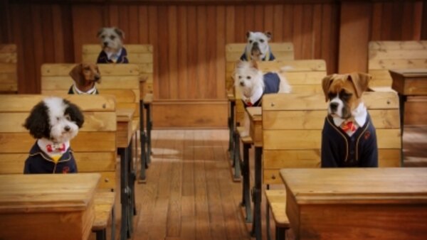 Pup Academy Season 1 Episode 1