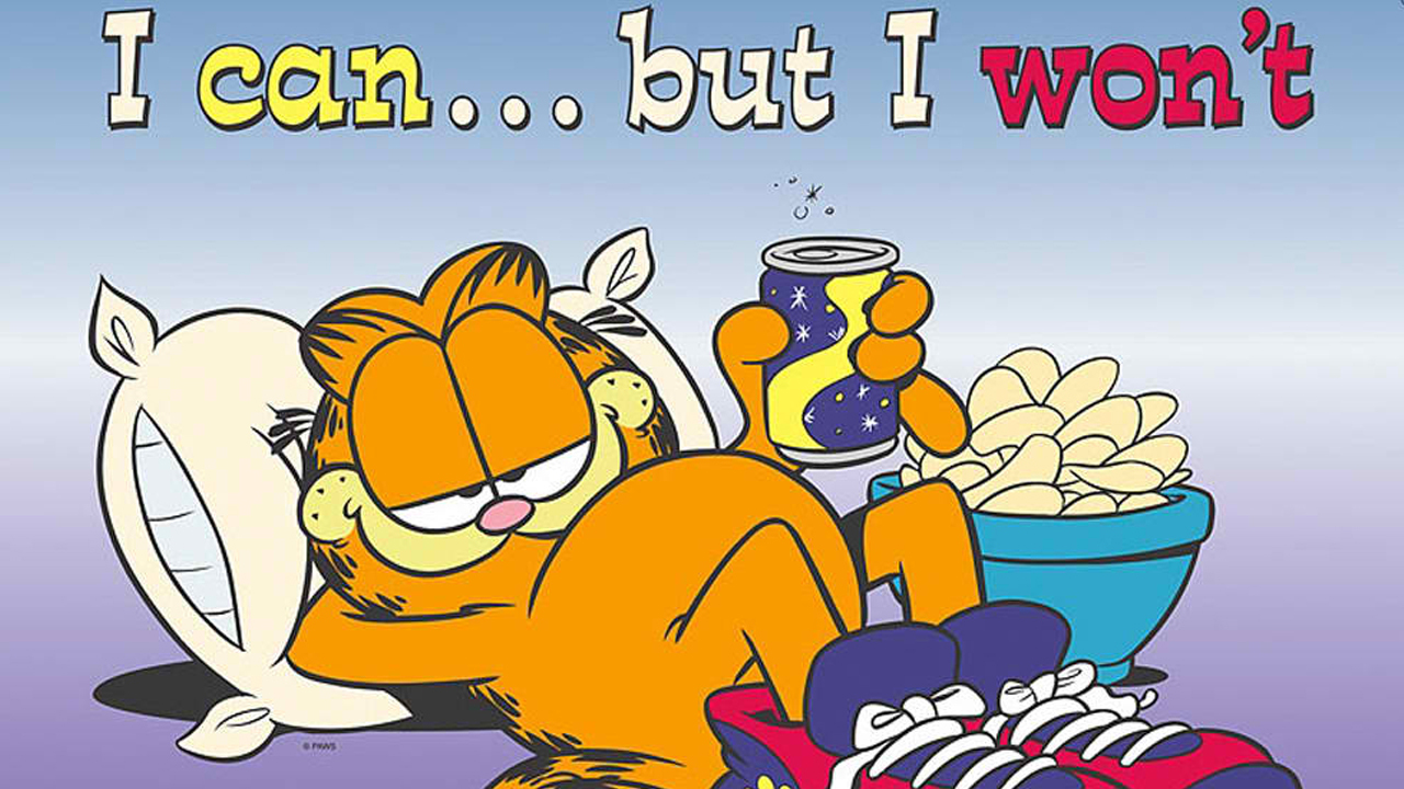 Here Comes Garfield (1982)