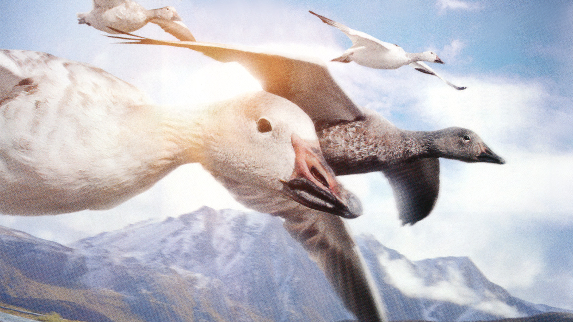 Earthflight (TV Series 2011 - 2012)