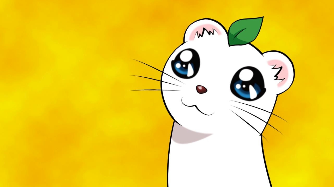 Shiawase Sou no Okojo-san episodes (Anime TV 2001 - 2002)