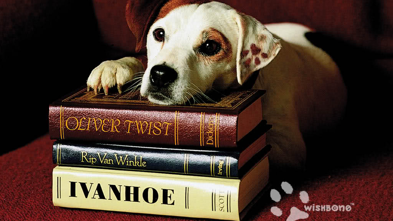 Wishbone (TV Series 1995 - 1997)