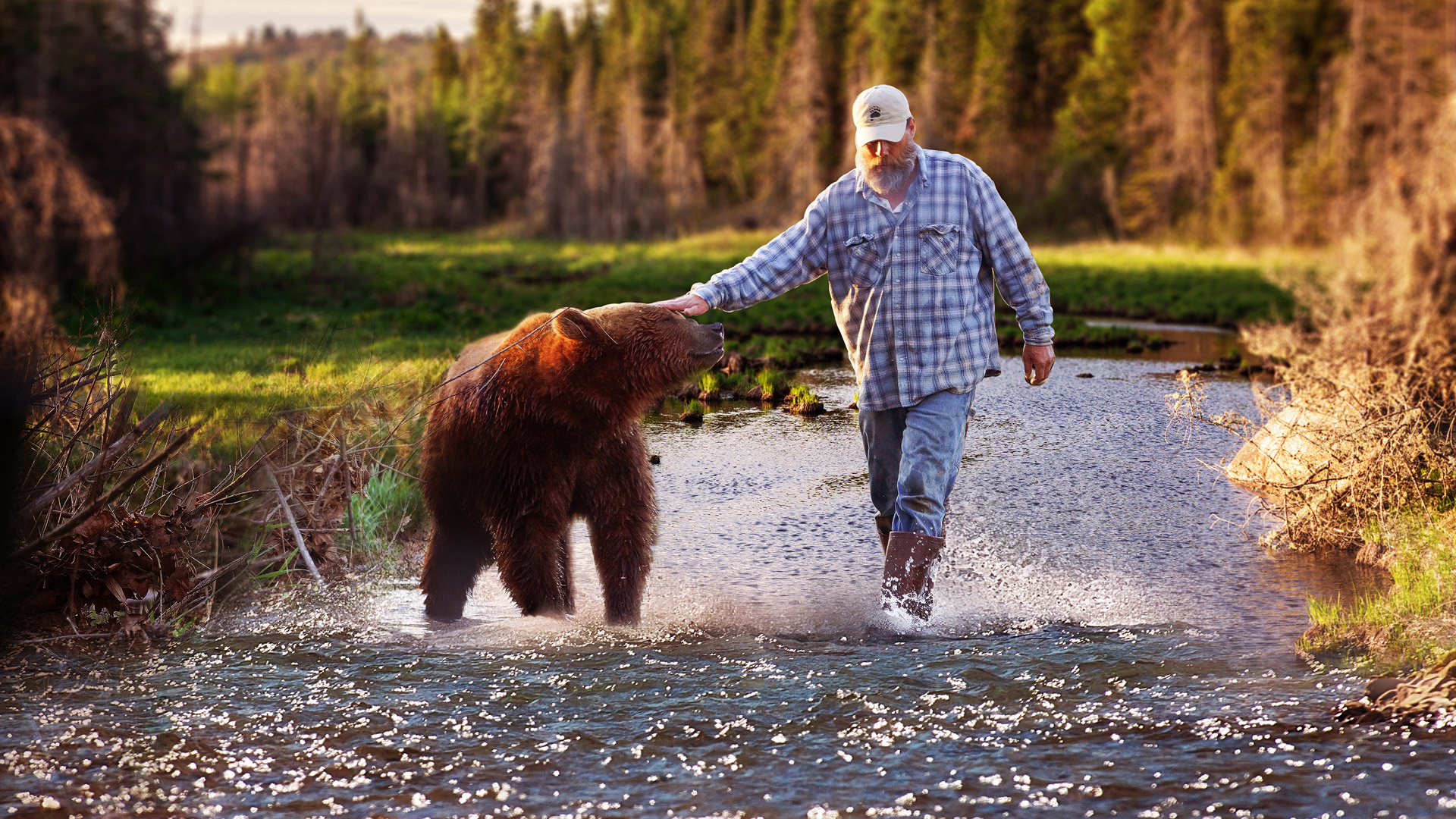 Project Grizzly episodes (TV Series 2016)