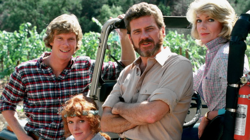 Falcon Crest (TV Series 1981 - 1990)