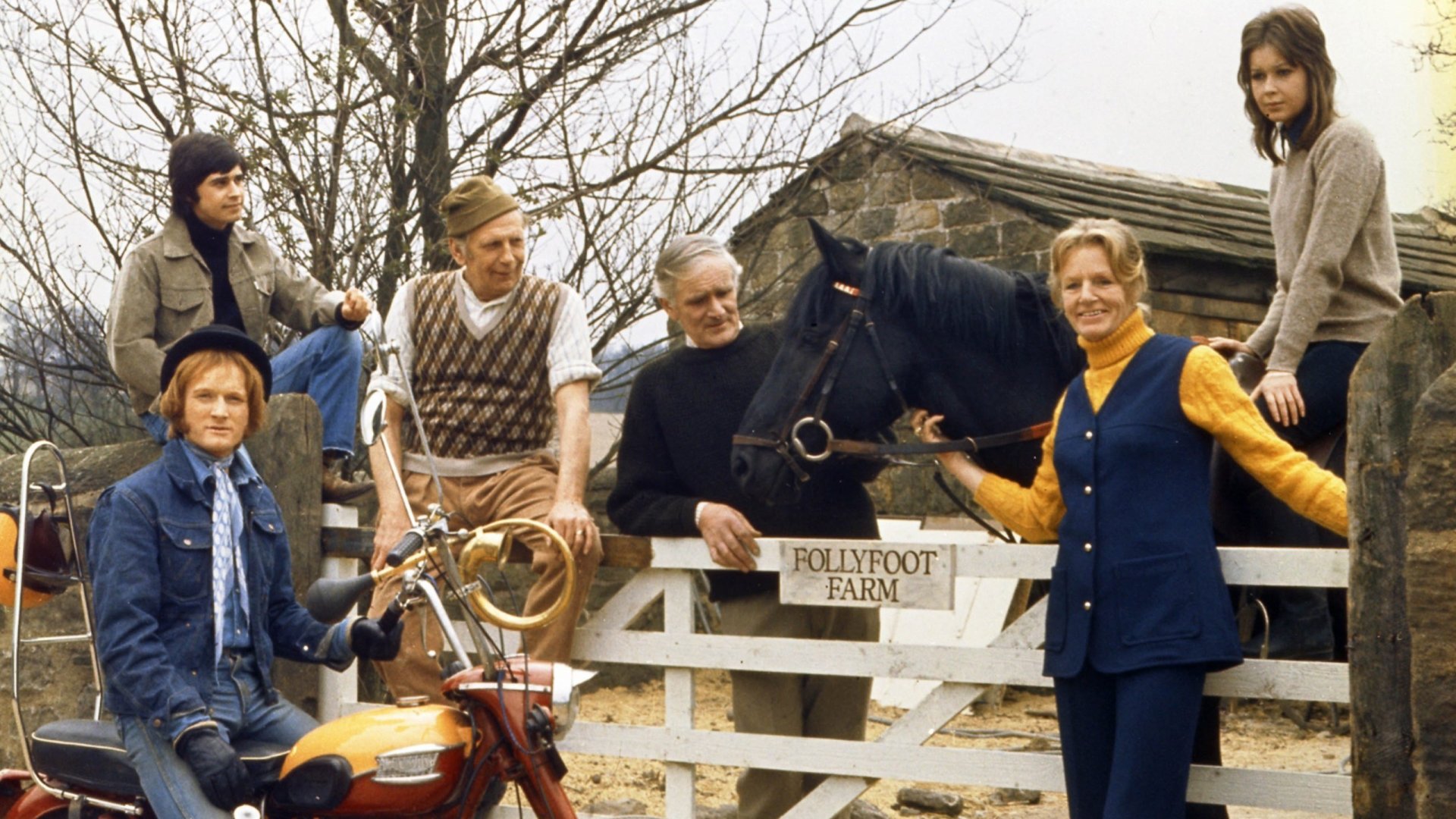 Follyfoot (TV Series 1971 - 1973)