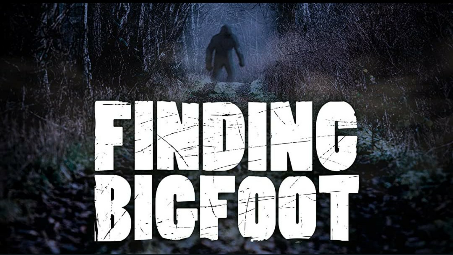 Finding Bigfoot episodes (TV Series 2011 - 2018)
