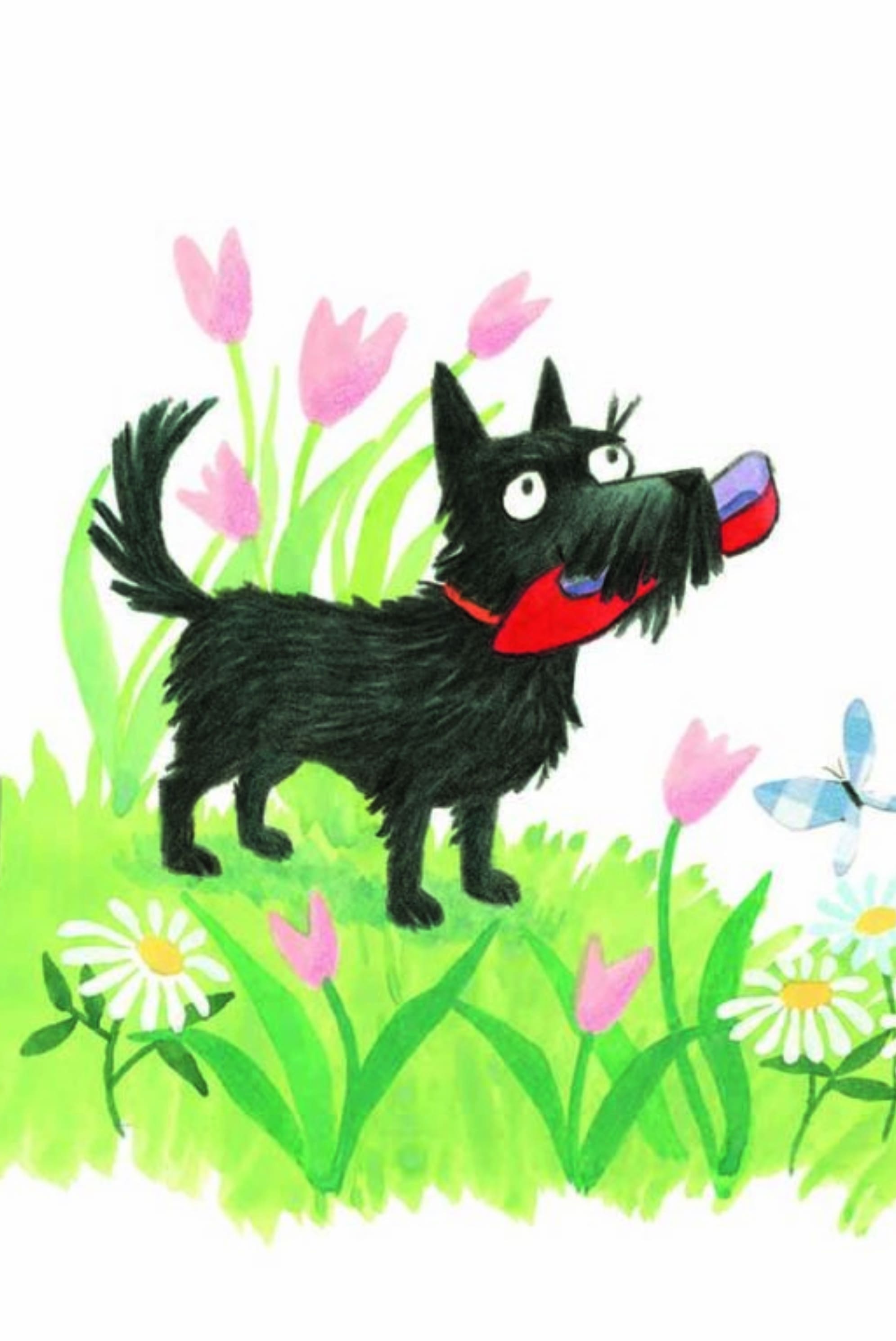 Toto: The Dog-Gone Amazing Story of Wizard of Oz countdown - how many ...