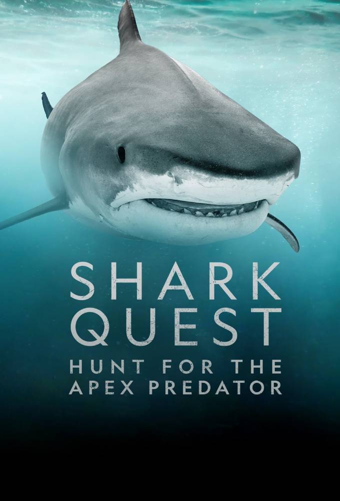 Shark Quest: Hunt for the Apex Predator countdown - how many days until the next episode