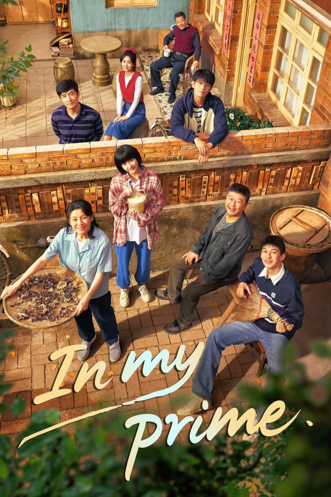 In My Prime countdown - how many days until the next episode