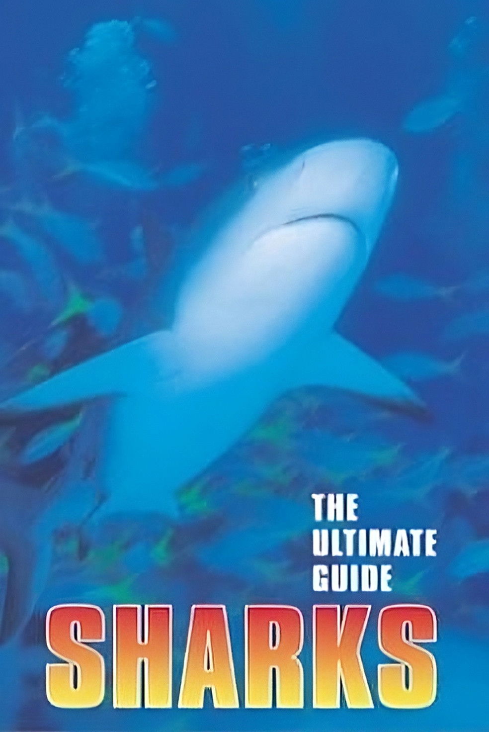 The Ultimate Guide: Sharks countdown - how many days until theater release